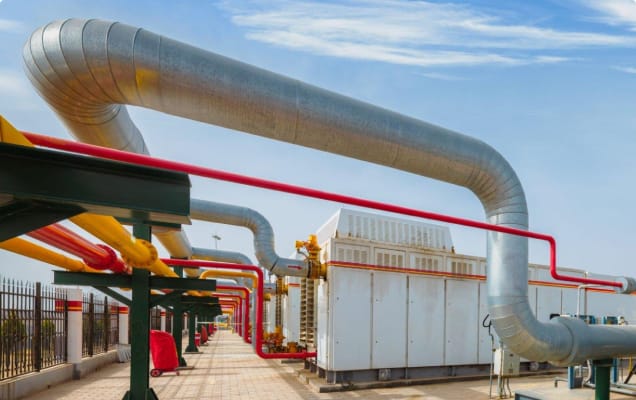 Services – Unival Egypt