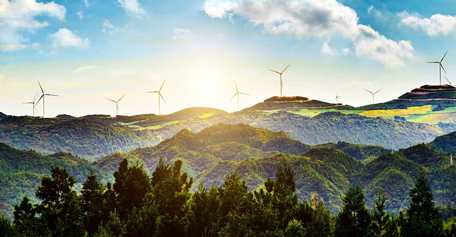 Bio Energy – Unival Egypt