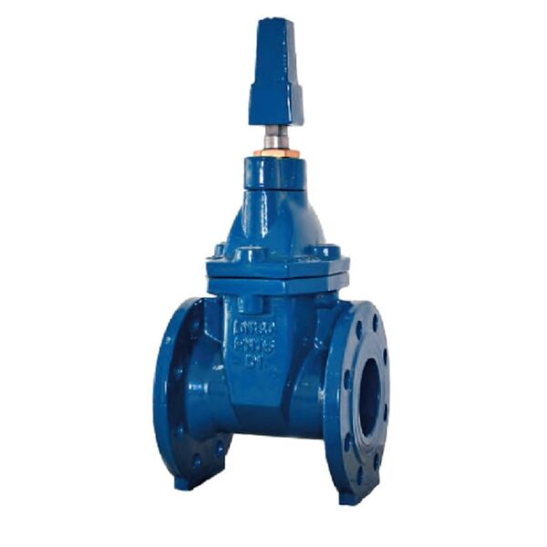 Buired Valves – Unival Egypt